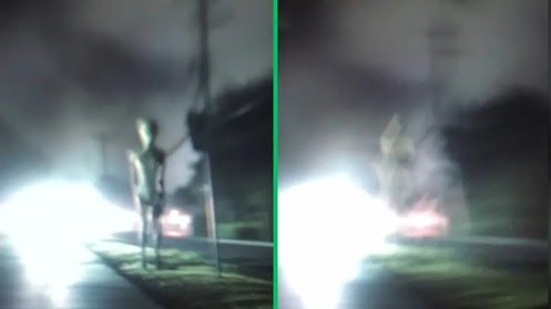 La foto più nitida mai vista della creatura aliena al Bayside ...